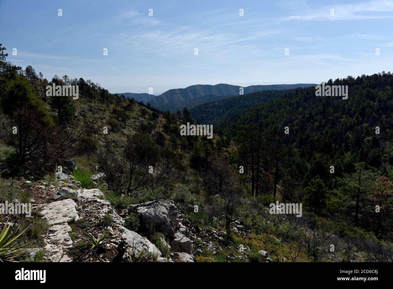 Mckittrick canyon hi-res stock photography and images - Alamy