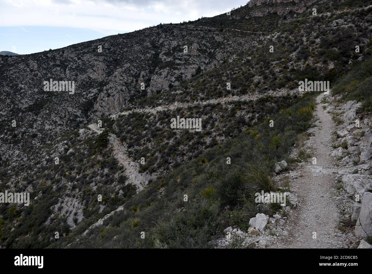 Downhill of Tejas trail. The Scene was taken on the Tejas Trail ...