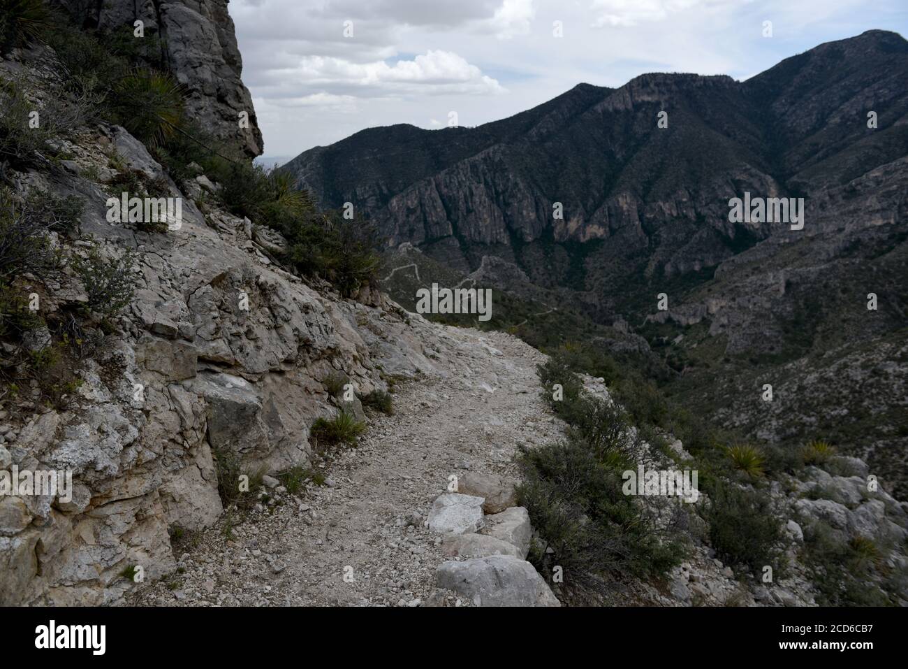 Downhill of Tejas trail. The Scene was taken on the Tejas Trail ...