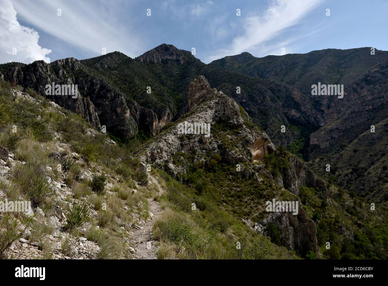 Mid point of Tejas trail downhill. The Scene was taken on the Tejas ...