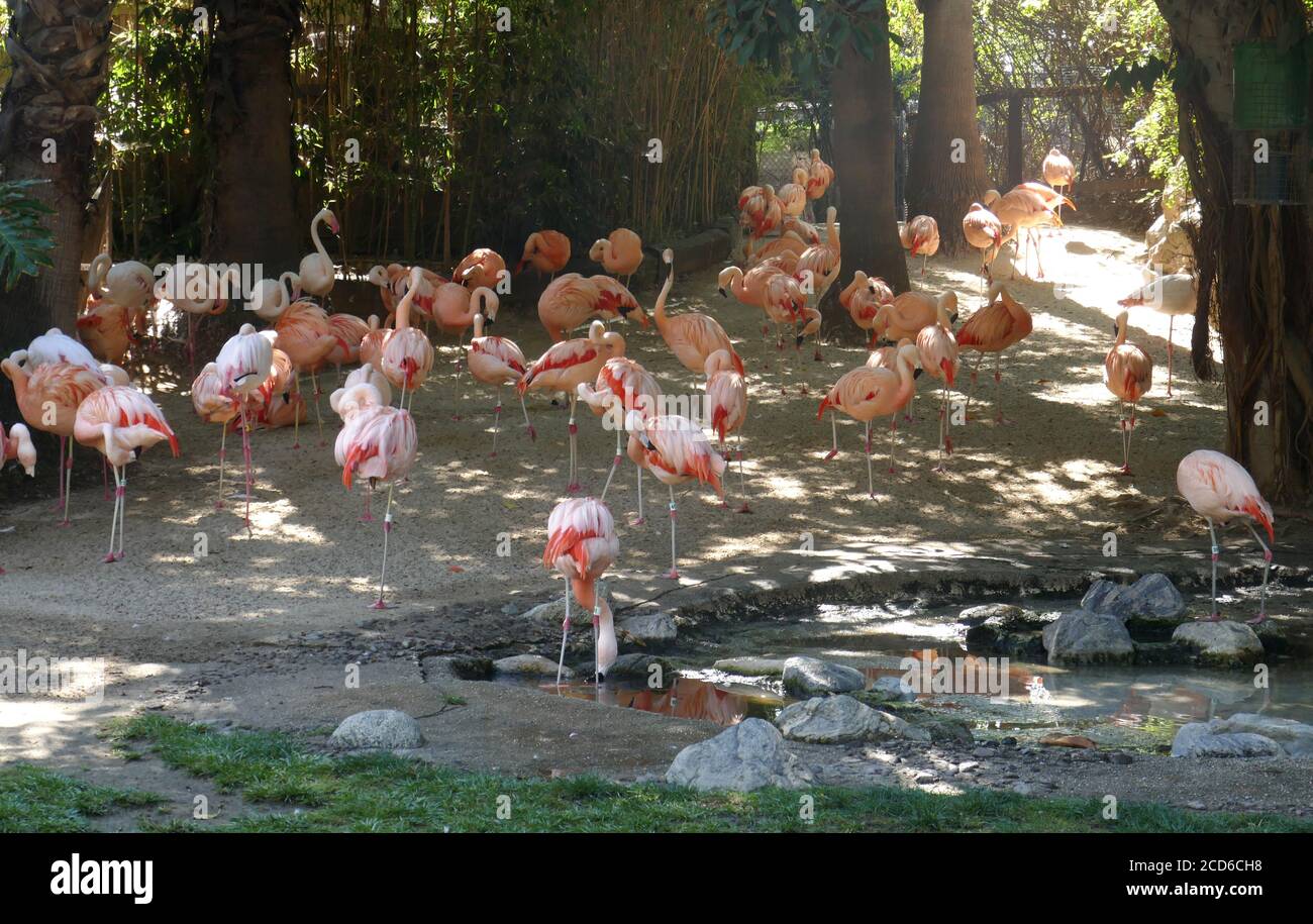 Los Angeles, California, USA 26th August 2020 A general view of ...