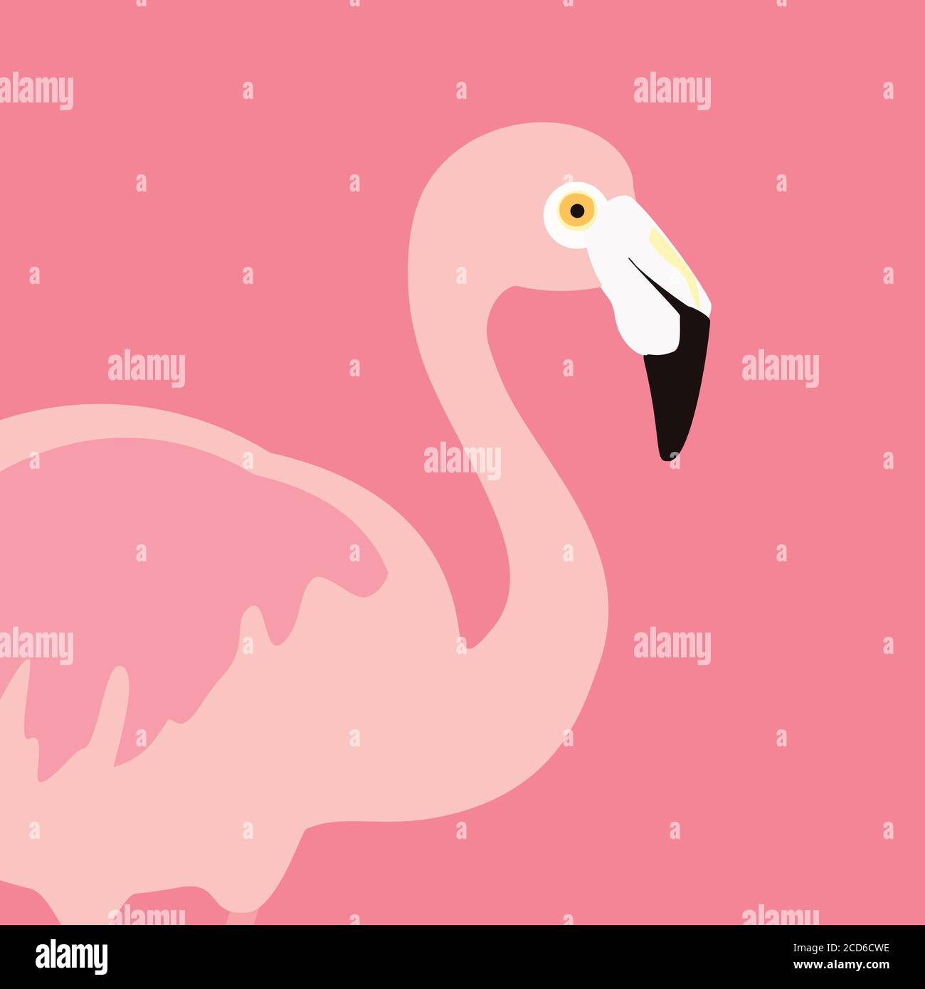Vector illustration pink flamingo. Exotic bird. Cool flamingo ...
