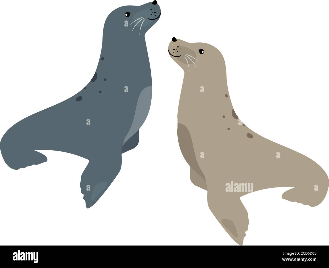 Seal cute sea animal icon isolated on white, vector illustration Stock ...