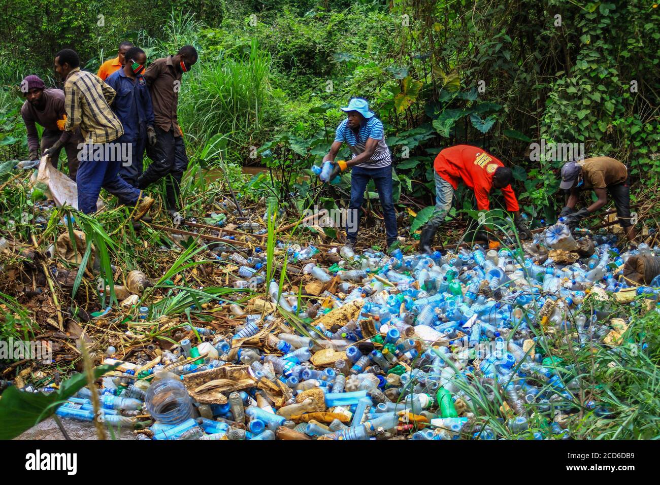 Nairobi, Kenya. 25th Aug, 2020. Volunteers removing plastic bottles and ...