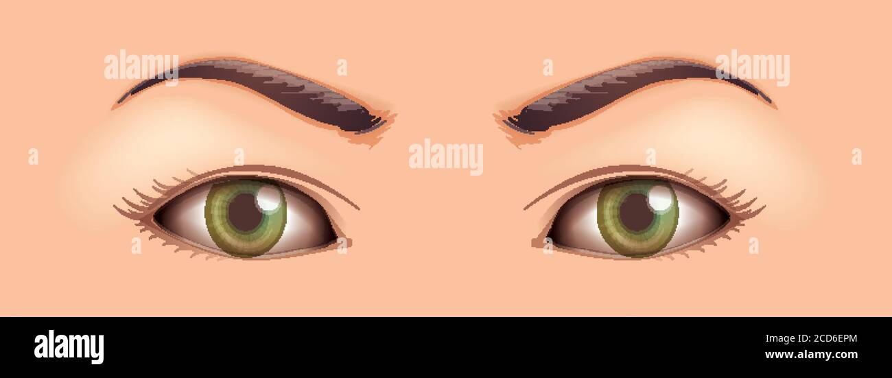 Human close up eyes area illustration Stock Vector Image & Art - Alamy