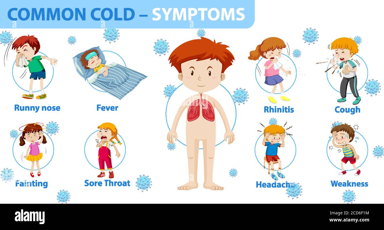 Common cold symptoms cartoon style infographic illustration Stock ...