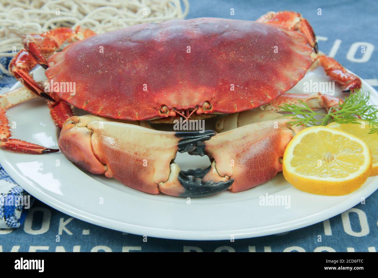 whole crab cooked in a plate Stock Photo - Alamy