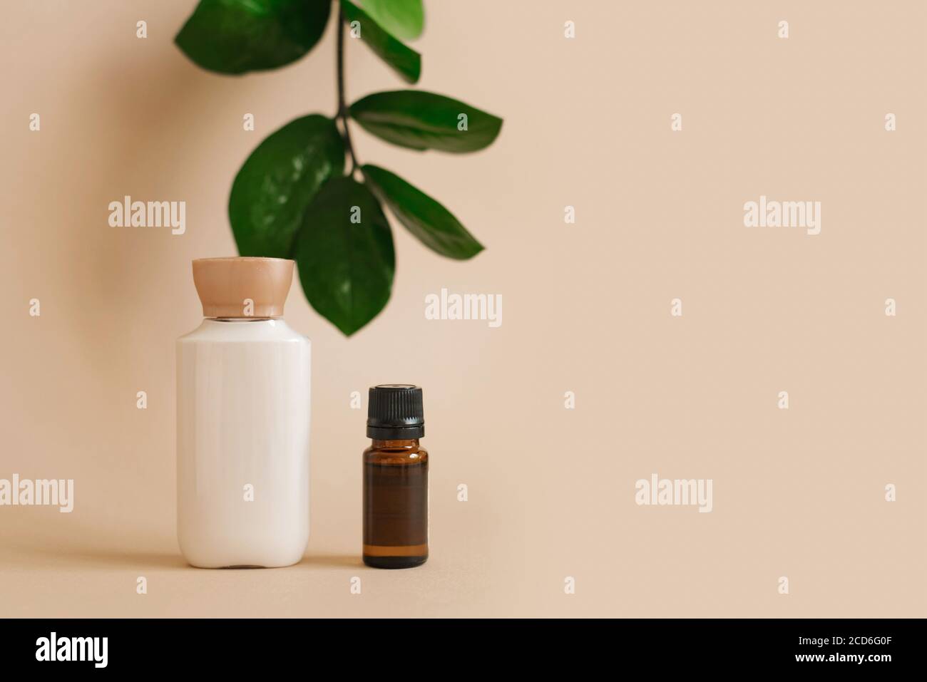 Natural organic cosmetic packaging plastic, layout with leaves in the ...