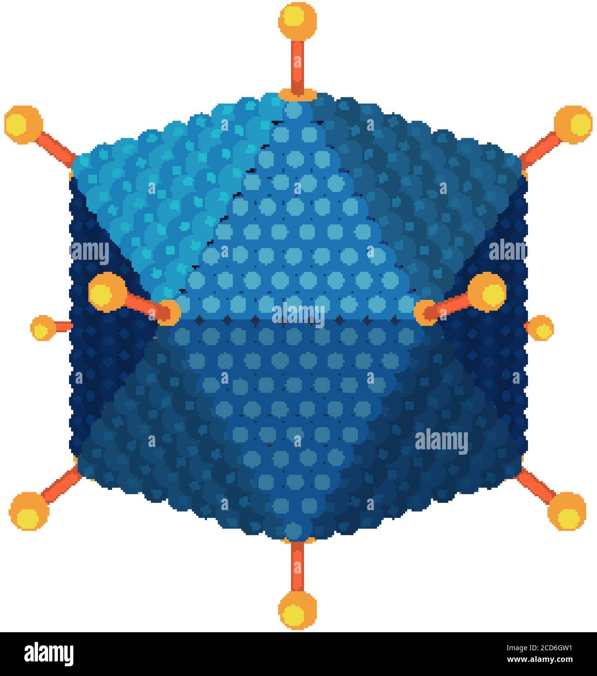 Adenovirus structure diagram on white background illustration Stock ...