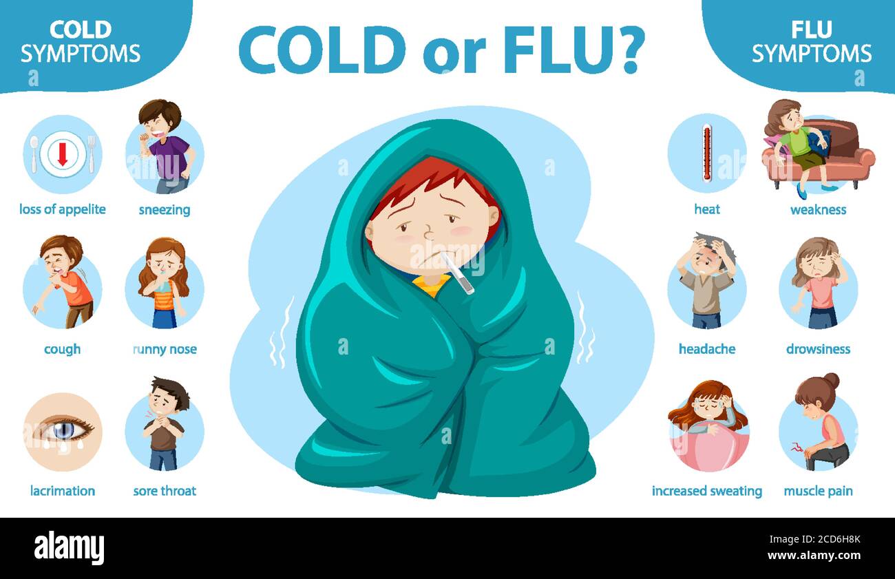 Medical infographic of cold and flu symptoms illustration Stock Vector ...