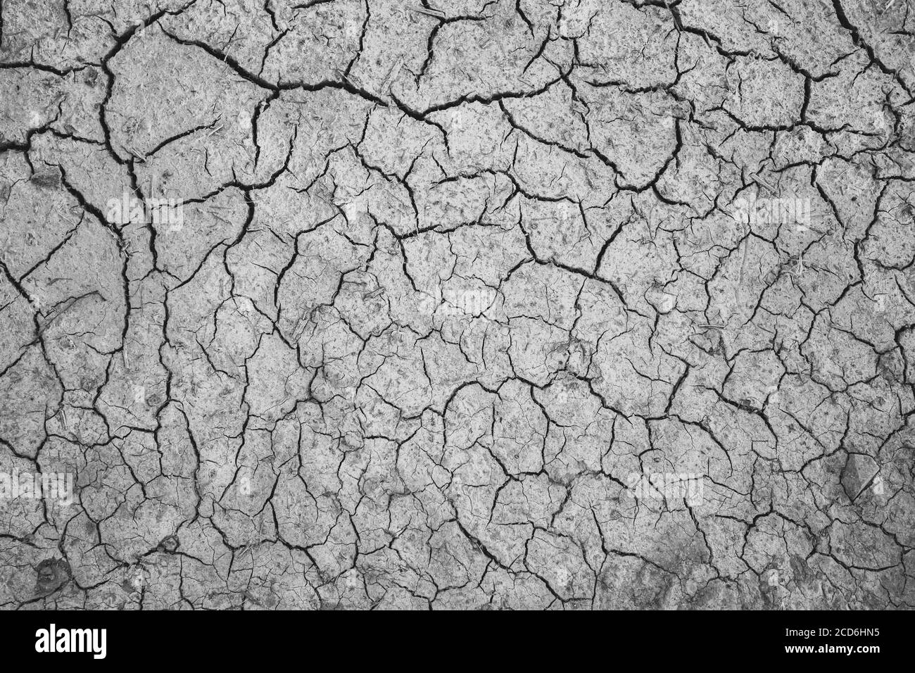 Texture of dry cracked soil after dried puddle Stock Photo - Alamy