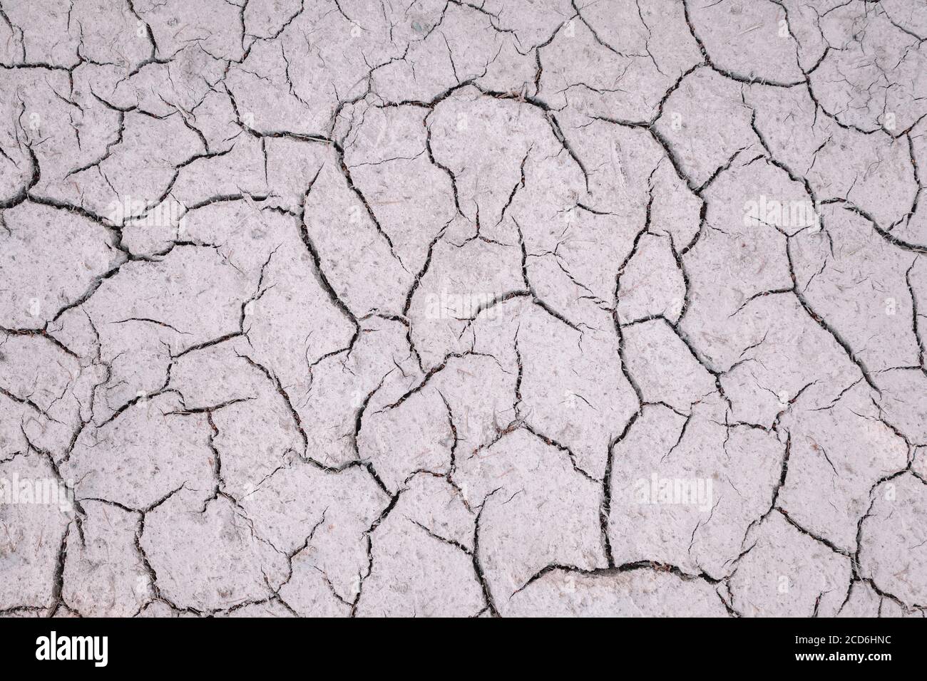 Drought mud puddle hi-res stock photography and images - Alamy