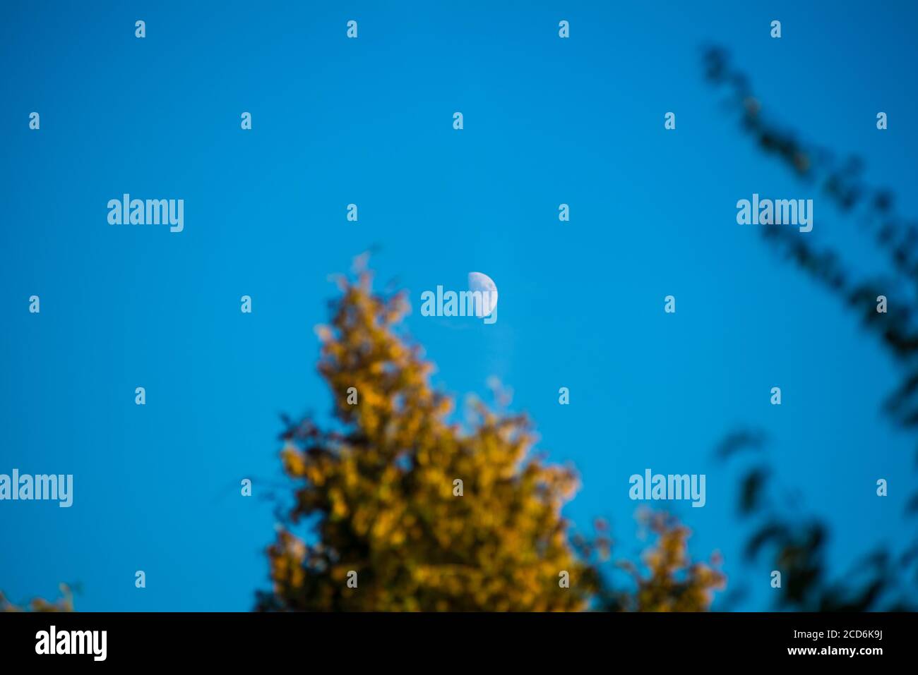 Late phases hi-res stock photography and images - Alamy