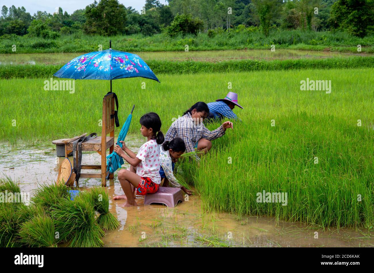 Thailand rural family hi-res stock photography and images - Alamy