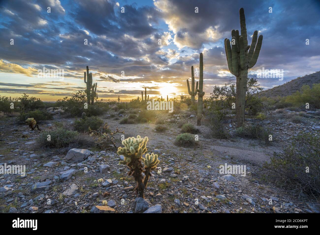 The last rays of sun for the day Stock Photo - Alamy