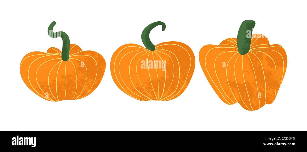 Set of pumpkins isolated on white background. Vectors pumpkins icons in ...