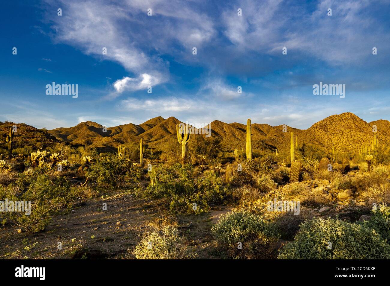 Sunset in sonoran desert hi-res stock photography and images - Alamy