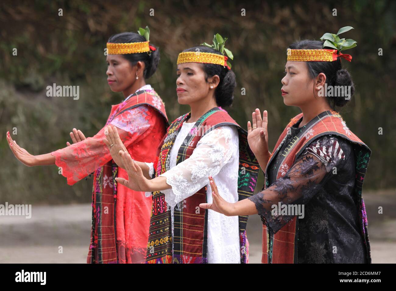 Sumatra tribe hi-res stock photography and images - Alamy