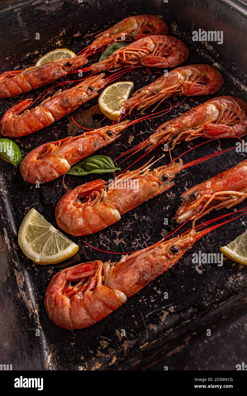 Giant shrimp close up hi-res stock photography and images - Alamy