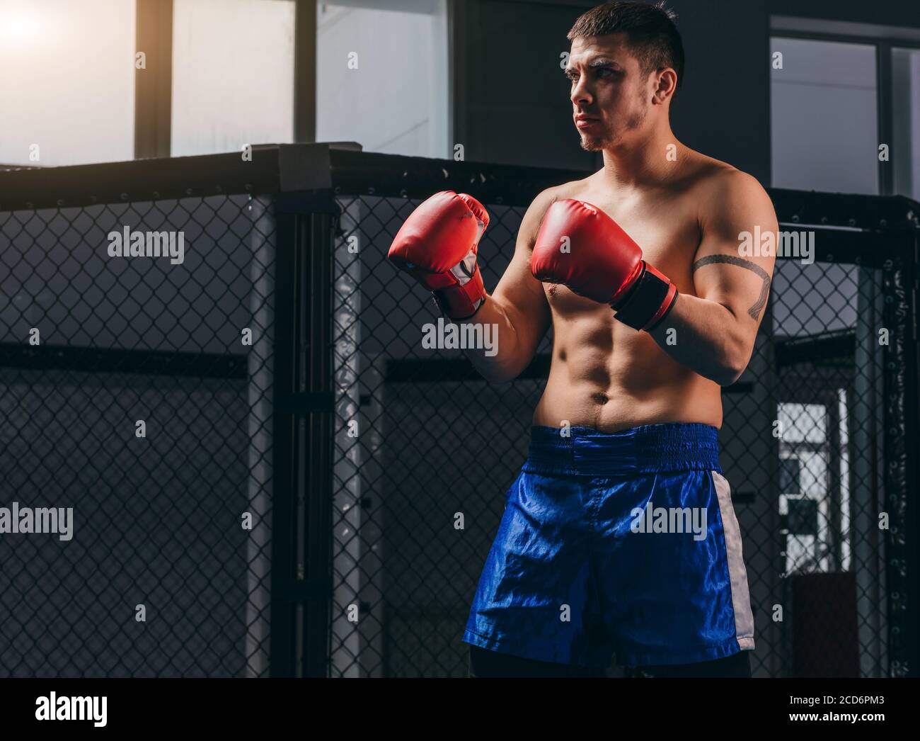 Kickboxer with bare muscular body stands in the middle of ring made of ...
