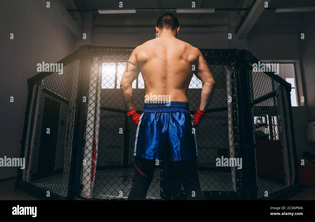 Back side of muscular male athlete with strained muscles of upper body ...