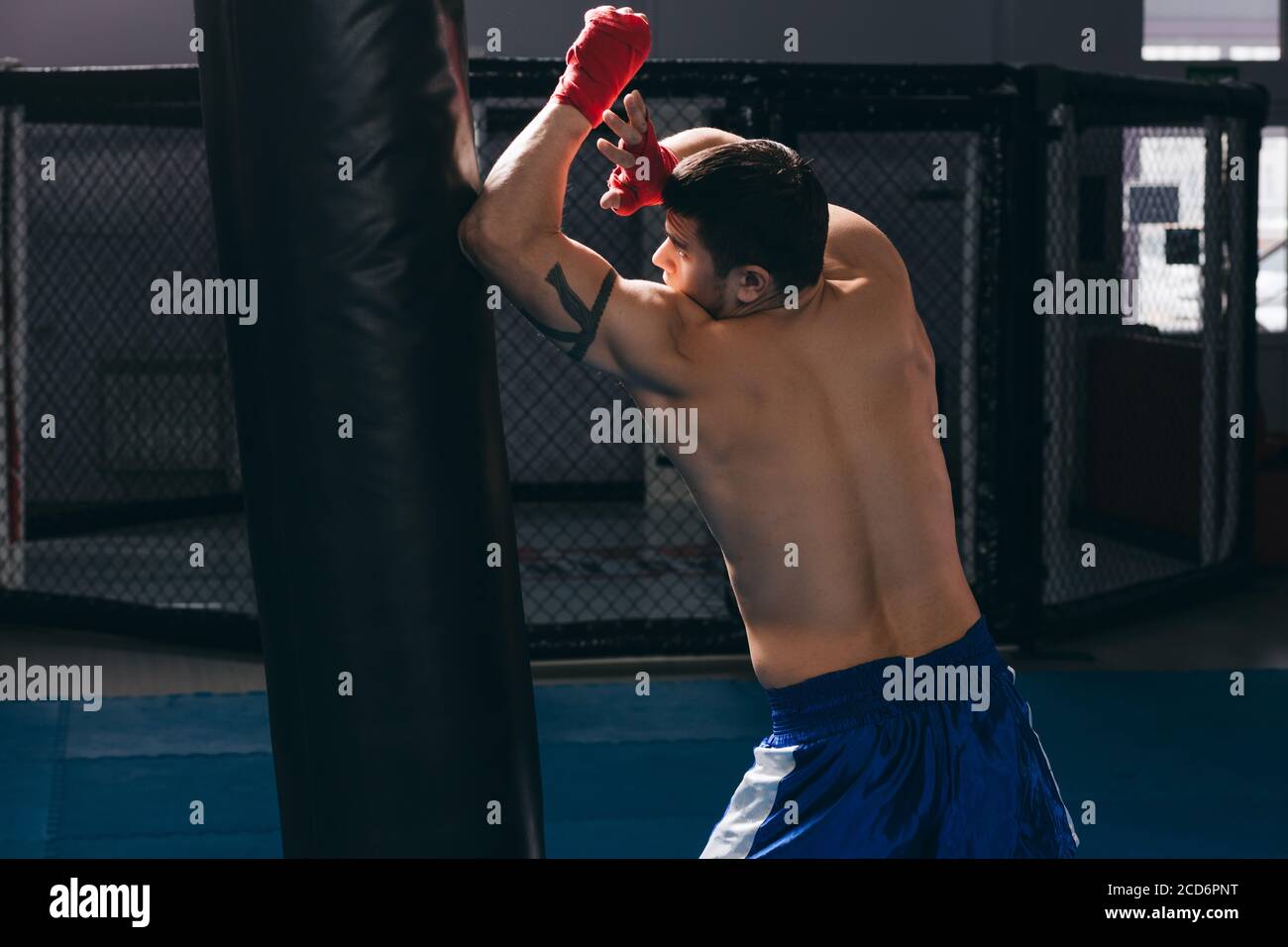 Muscular hardworking fighter practicing with punching bag, training ...
