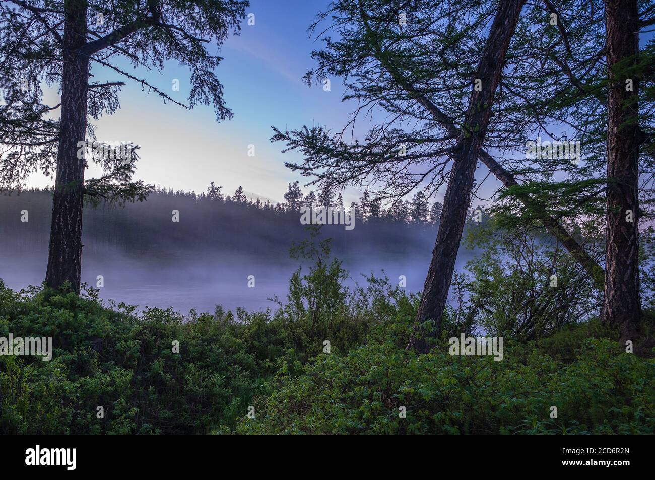 Spooky, dark and foggy landscape Stock Photo - Alamy