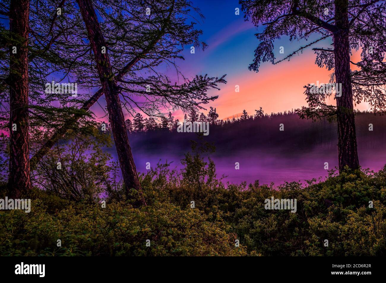 Spooky, dark and foggy landscape Stock Photo - Alamy