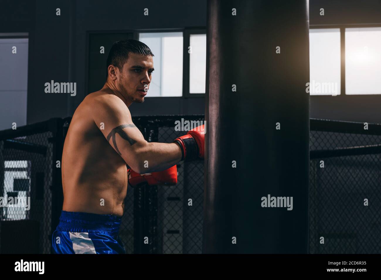 Strong muscular young boxer in sportswear and red boxing gloves ...