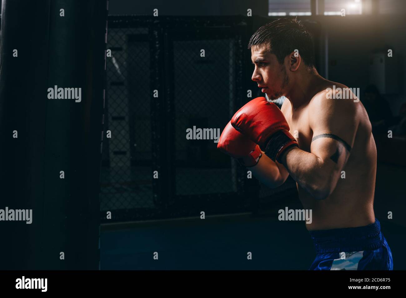 Male body building competition hi-res stock photography and images - Alamy