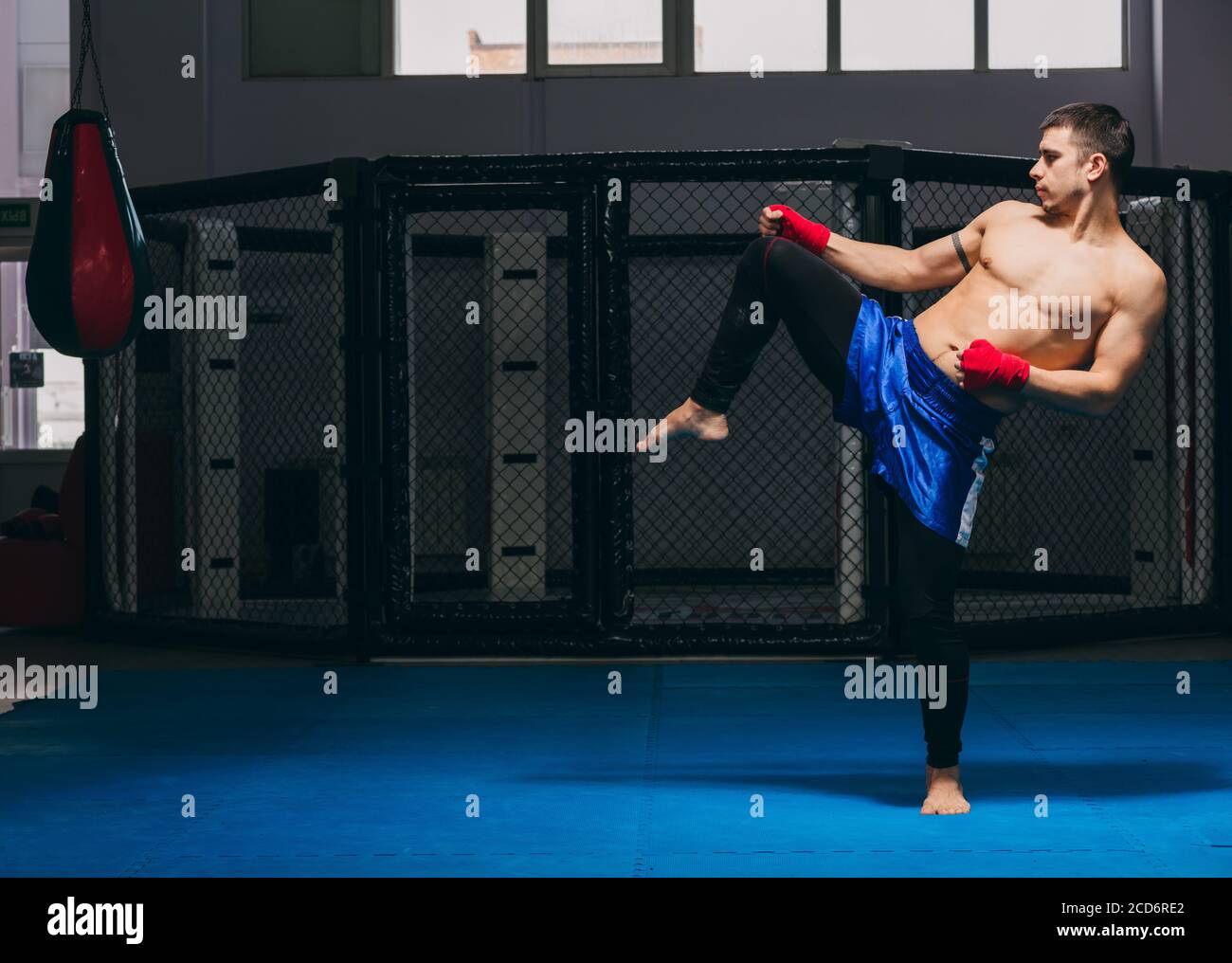 A strong barechested kickboxer, mixed battle fighter in a fighting ...