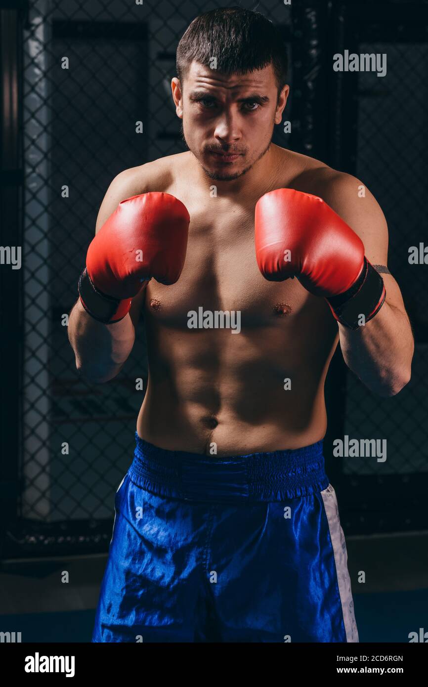 Athletic male boxer training at boxing studio. Portrait of dark-haired ...
