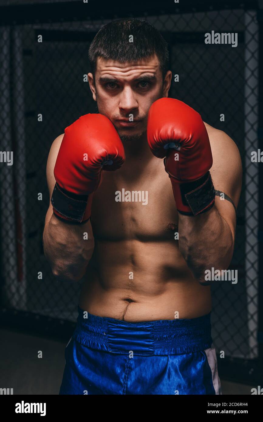 Athletic male boxer training at boxing studio. Portrait of dark-haired ...
