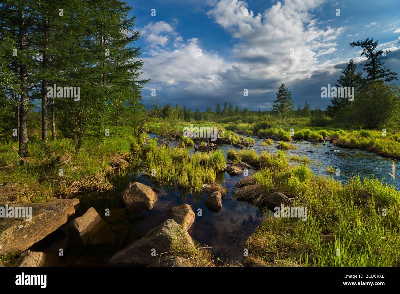 River sky summer tree landscape nature forest Stock Photo - Alamy