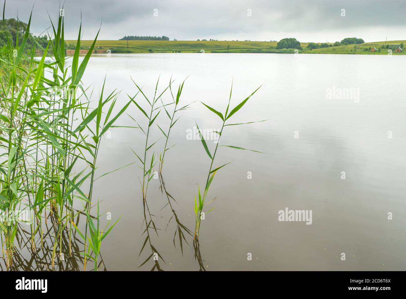 River sky summer tree landscape nature forest Stock Photo - Alamy