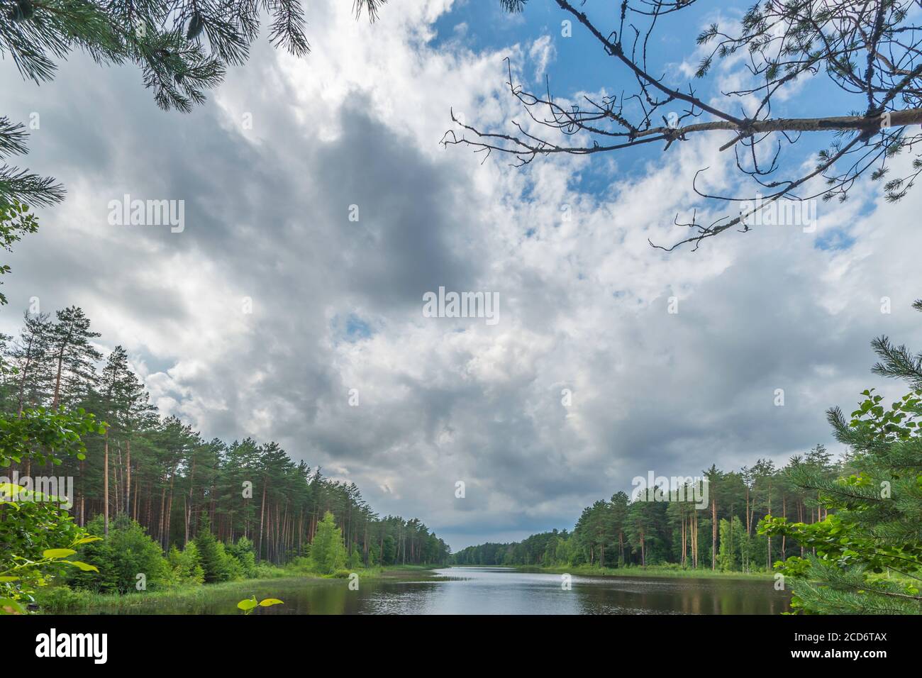 Moody landscape with old tree and lake in the morning as nature ...