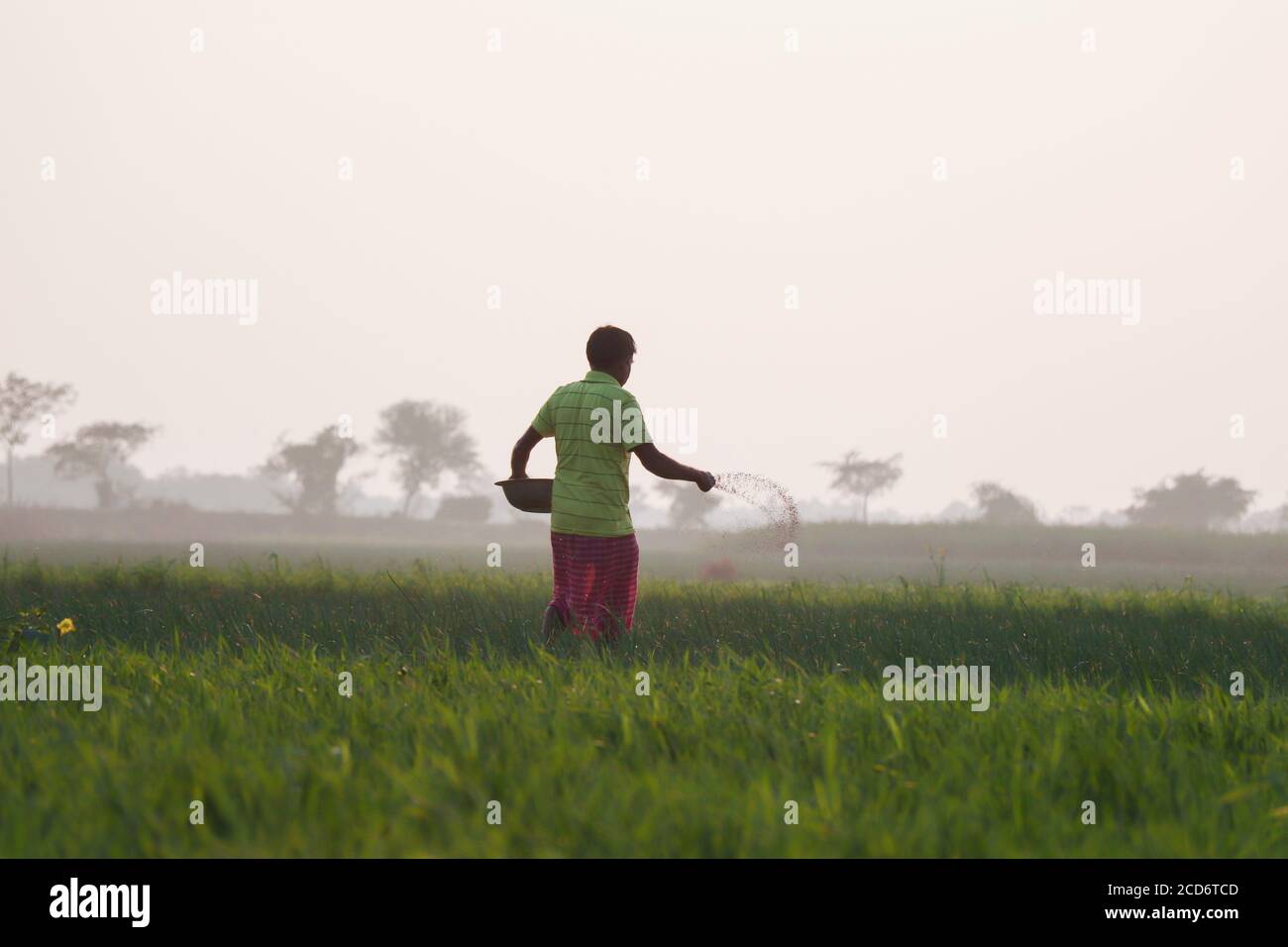 working farmer in indian field Stock Photo - Alamy