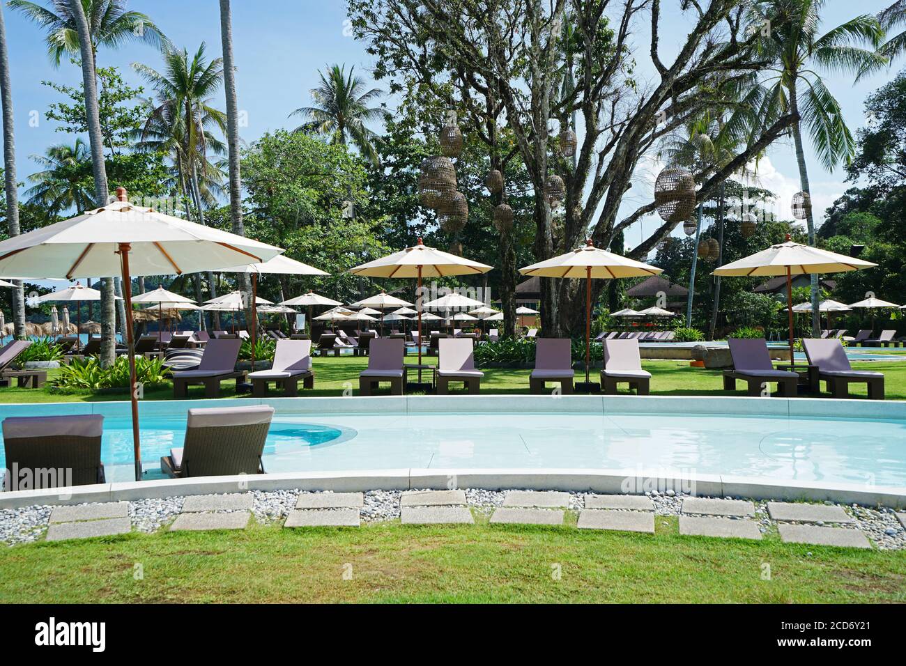 Lying coconut palm tree hi-res stock photography and images - Alamy