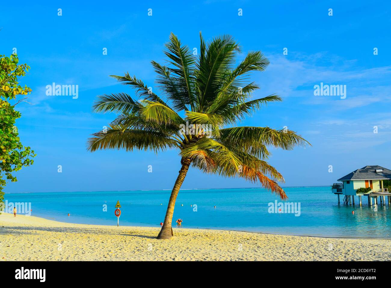 Sunny beach with white sand, coconut palm trees and turquoise sea ...