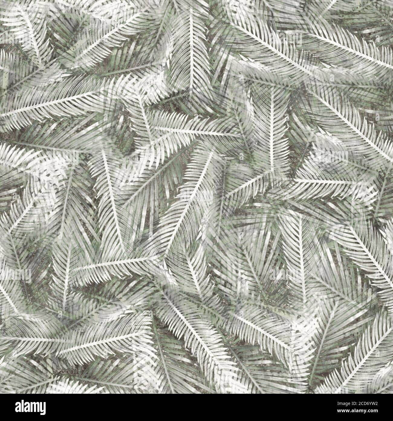 Neutral tropical palm tree leaves seamless pattern Stock Photo - Alamy