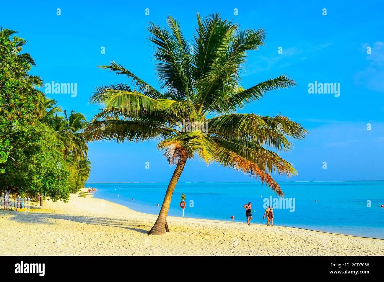 Sunny beach with white sand, coconut palm trees and turquoise sea ...