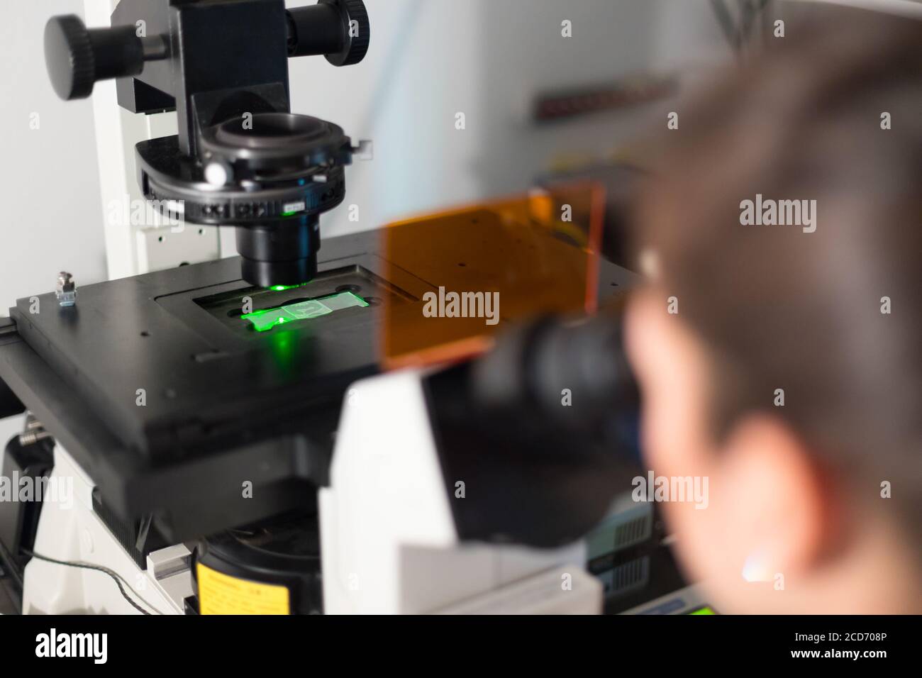 Life science researcher microscoping in genetic scientific laboratory ...