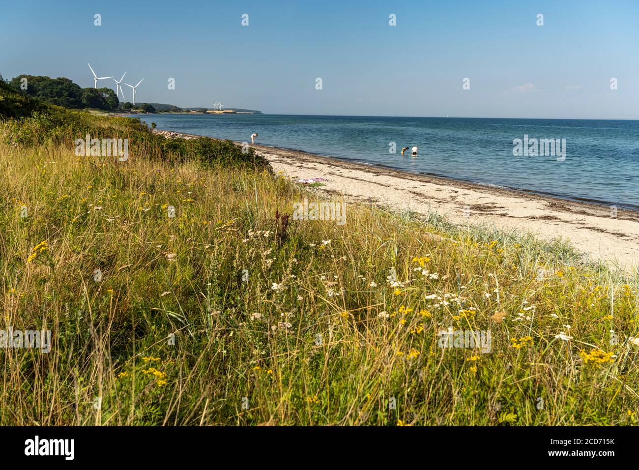 Sandstrand bei Botofte, Insel Langeland, Dänemark, Europa | Baltic ...