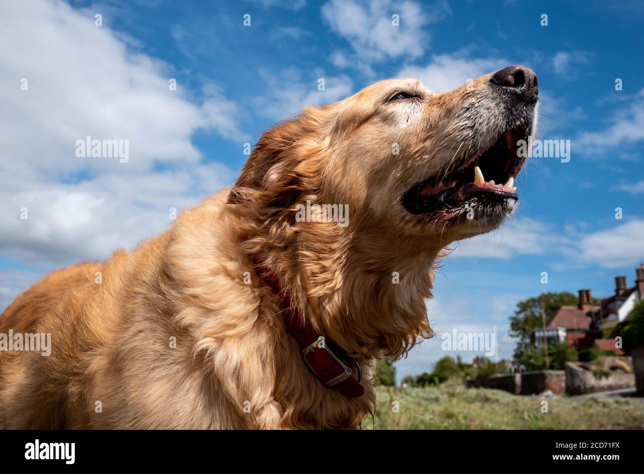 Bosham August 26th 2020: Bosham in West Sussex Stock Photo - Alamy