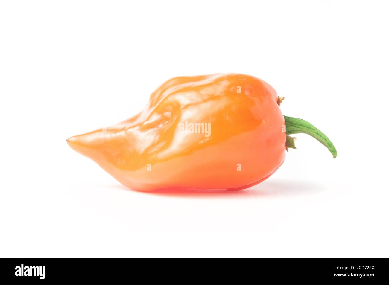 Habanero orange chili pepper isolated on white background Stock Photo ...