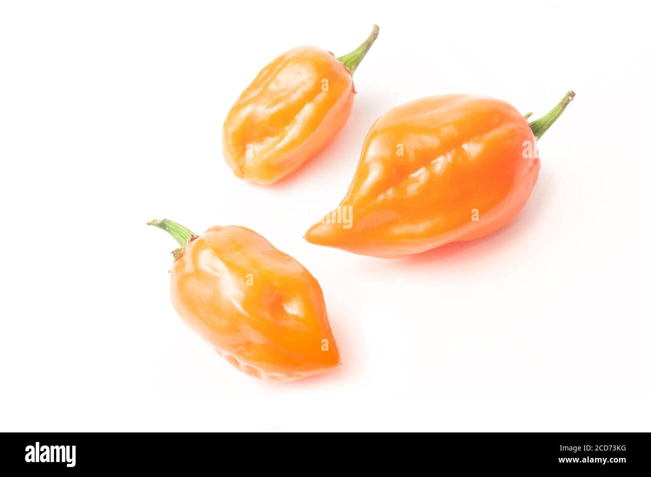 Three habanero orange chili pepper isolated on white background Stock ...