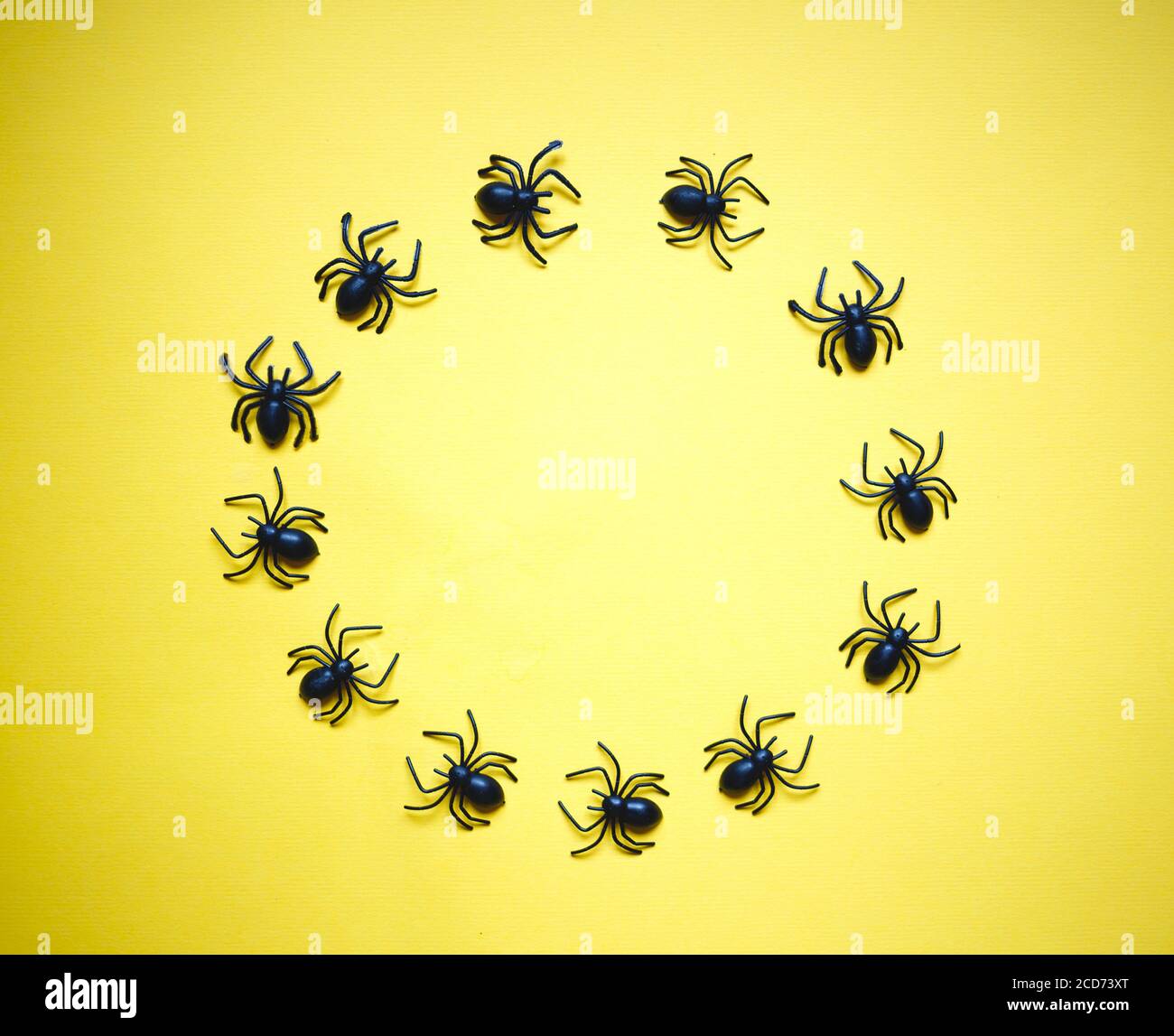 circle of spiders on a yellow background Stock Photo - Alamy