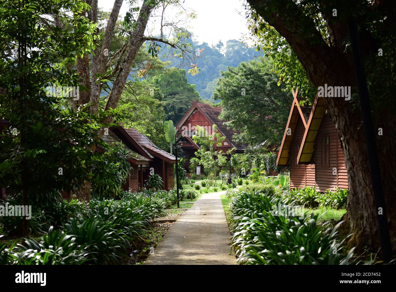 Mutiara Resort. Taman Negara. Malaysia Stock Photo - Alamy