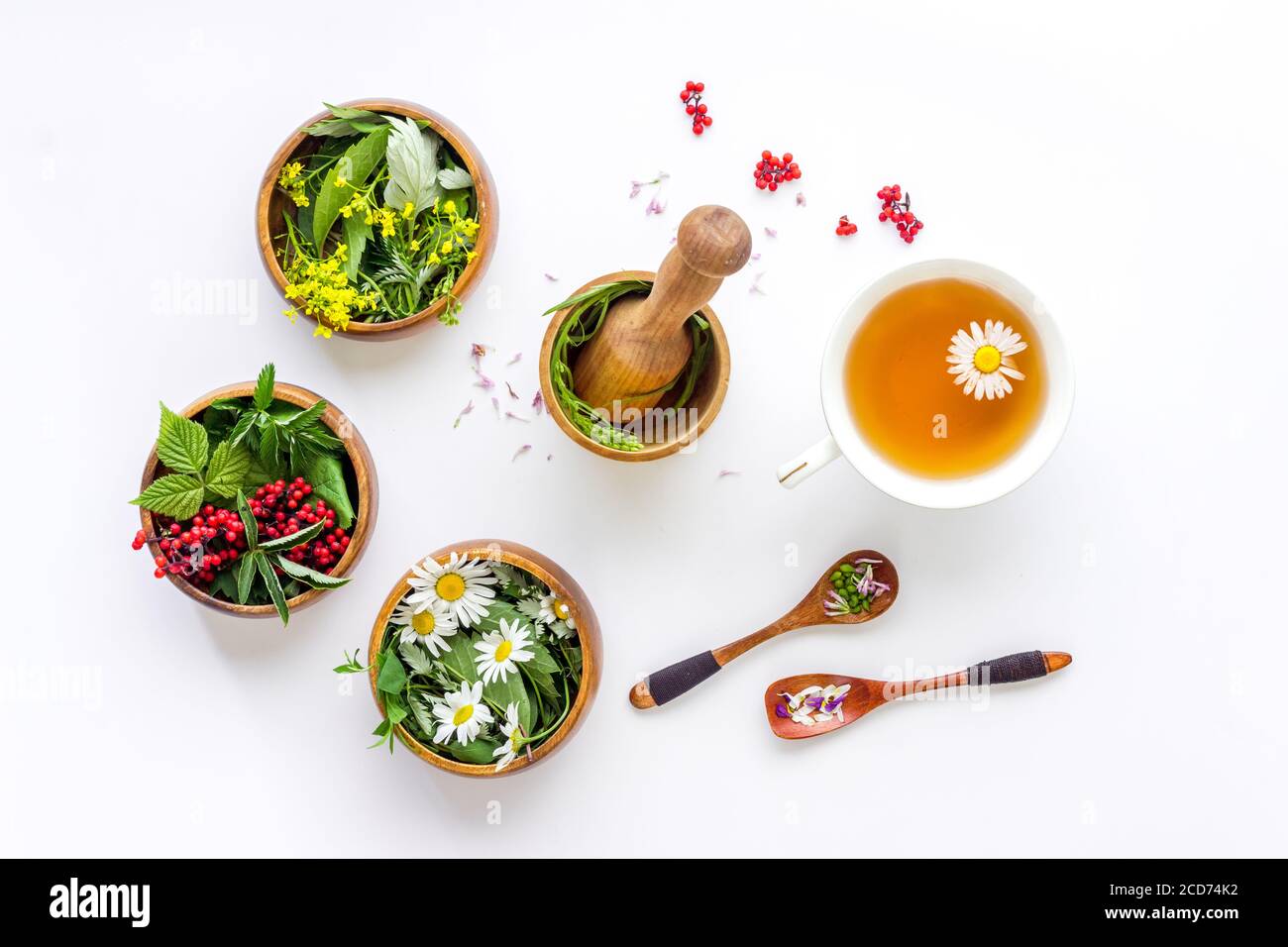 Cup of herbal tea with wild herbs and wild flowers Stock Photo - Alamy