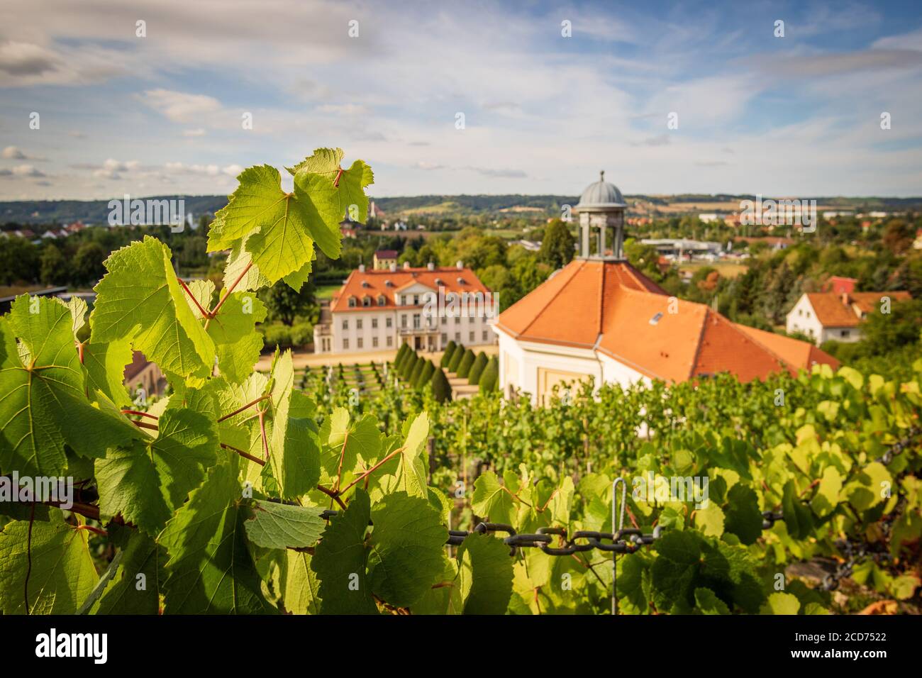 Hill radebeul hi-res stock photography and images - Alamy